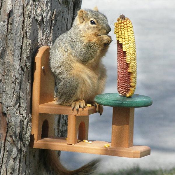 Recycled Poly Squirrel Feeder Table & Chair – Bird House on the Greenway