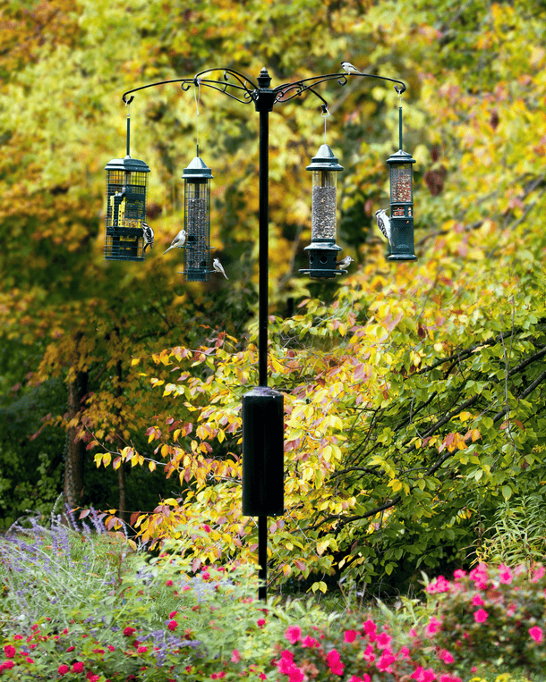 Racoon Buster Guardian Pole System – Bird House on the Greenway