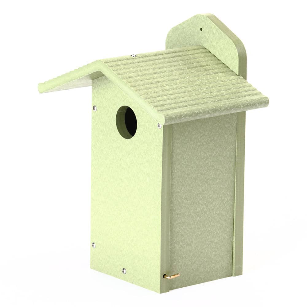 Green Solutions Bluebird House GREEN – Bird House on the Greenway