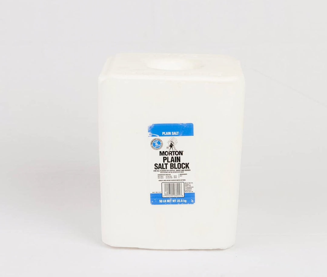 White Salt Block, 4lbs – Bird House on the Greenway